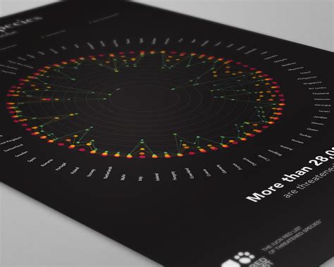 Threatened Species Across The Globe Data Visualisation On Behance