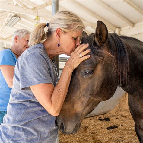 Emma Sullivan Posted On Linkedin