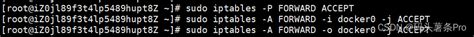 启动docker容器时报错 iptables failed iptables wait t nat a docker p tcp