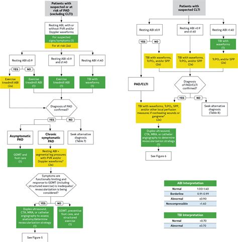 2024 Acc Aha Aacvpr Apma Abc Scai Svm Svn Svs Sir Vess Guideline For The Management Of Lower