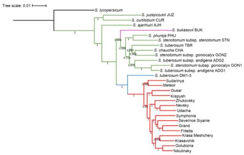 Ijms Special Issue Comparative Genomics And Functional Genomics Analysis In Plants