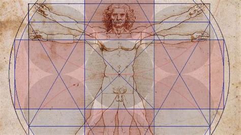 Leonardo Da Vincis Vitruvian Man Explained Art Science And Symmetry