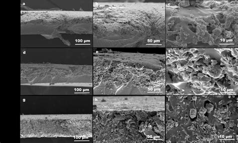 Sem Cross Section Micrographs Of Mixed Matrix Membranes With 3