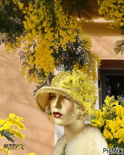 Mimosa Free Animated  Picmix