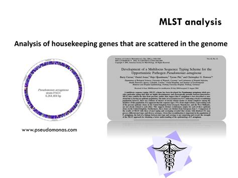 Ppt Multilocus Sequence Typing Of Bacteria A Genotypic Tool For Strain Selection Powerpoint