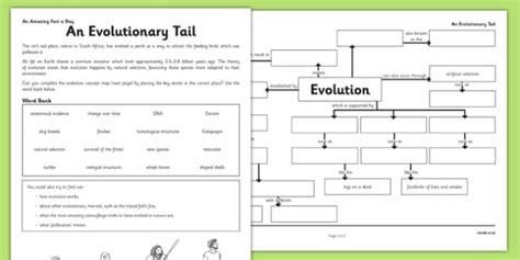 An Evolutionary Tail Worksheet Worksheet