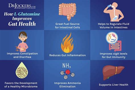 Hiatal Hernia Symptoms Causes Natural Support Strategies Artofit