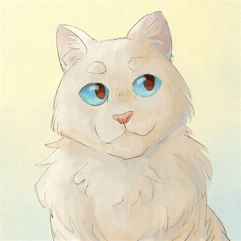 Cloudtail By Paintedpaw Cat On Deviantart Cats Art Deviantart