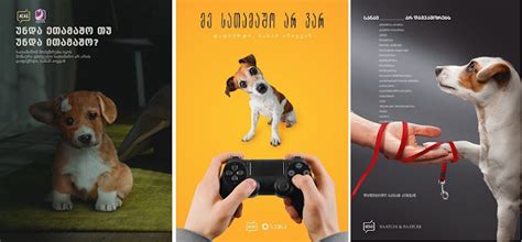 ცხოველთა თავშესაფარი სირთულეები და გამოწვევები