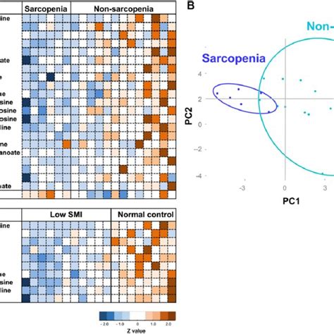 Summary Of 25 Metabolites Related To Sarcopenia And 15 Frailty Markers