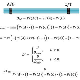 Statistics Used To Measure LD Equations To Calculate Statistics Download Scientific Diagram