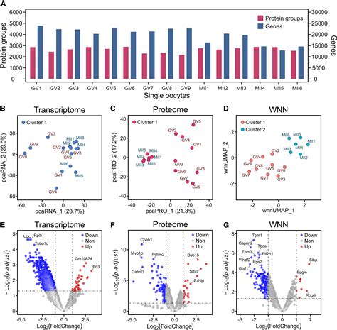 Simultaneous Deep Transcriptome And Proteome Profiling In A Single