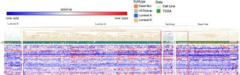 050 protein rppa based hierarchical clustering between 197 tumors and