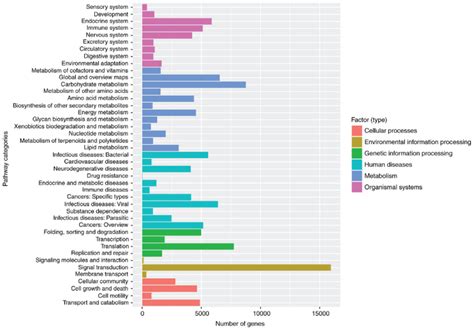 Functional Classification Of Panax Ginseng Unigenes Based On Kyoto