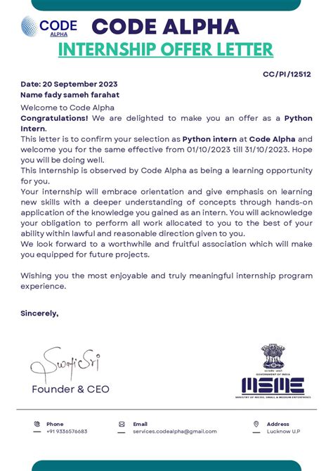 fady sameh on linkedin codealpha internship 19 comments