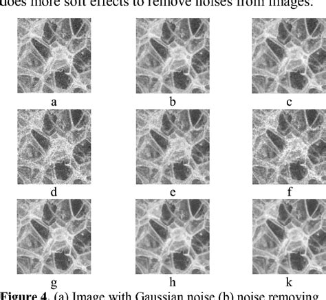 figure 4 from classification of textures using filter based local