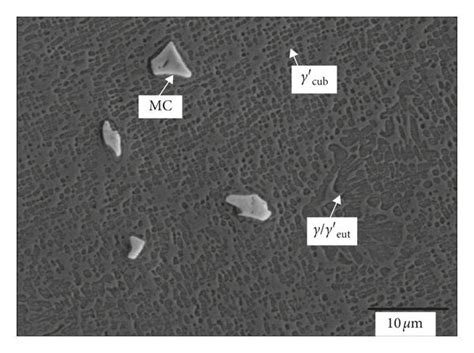 Sem Micrographs Of In 792 Superalloy For A Mt 1147 K 874°c B
