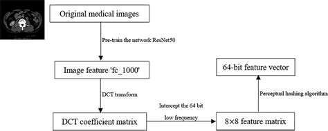 Cmc Free Full Text Zero Watermarking Algorithm For Medical Image Based On Resnet50 Dct