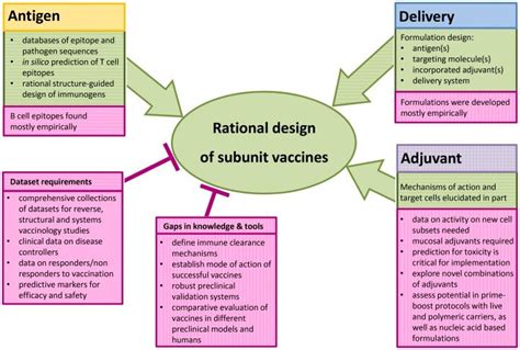 Modern Vaccinology Focuses On The Development Of Subunit Vaccines To Download Scientific