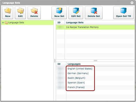 How Do I Set The Source And Target Languages For My Project Support