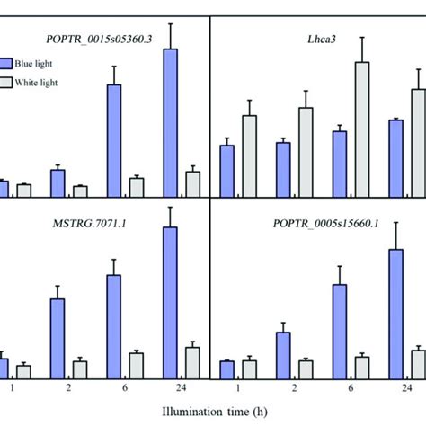 Differentially Expressed LncRNA Target Gene Expression Patterns Download Scientific Diagram