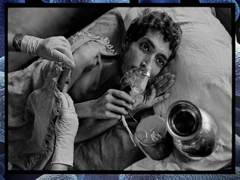 Eubacteria Kingdom Pptx