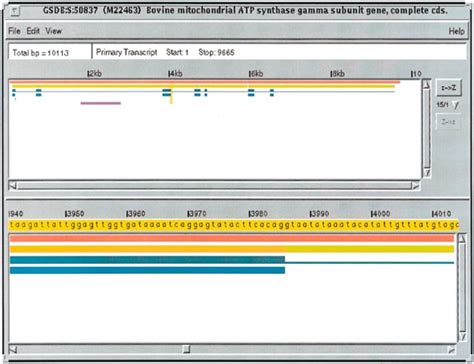 the gsdb annotator a database browser sequence editor and submission