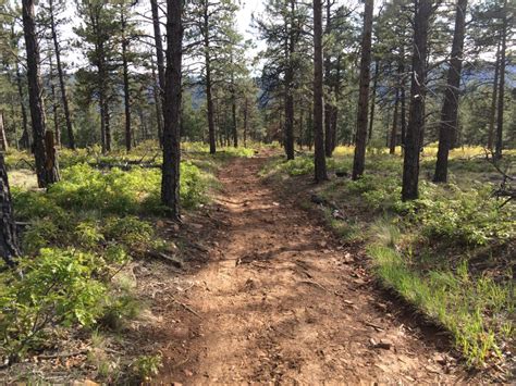 Durango Hiking The Best Hikes From Locals Mild To Wild Rafting