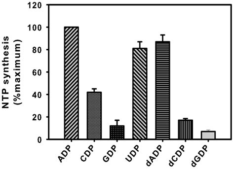 Mppk1 Exhibits Auxiliary Ndk Activity Ntp Synthesizing Ability Of