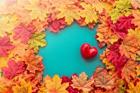 Картинки Листья серце клёна Природа