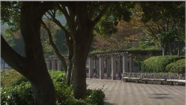 GitHub jihoon Anti Aliasing Method Anti aliasing 필터를 구현하고 이미지 압축 및 복원 결과를 필터를 적용하기 전후로