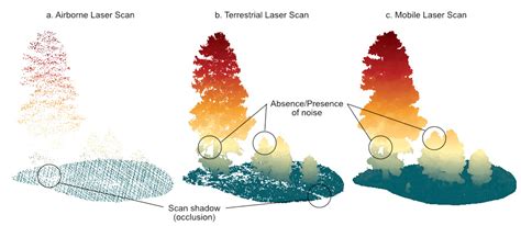 Adjudicating Perspectives On Forest Structure How Do Airborne Terrestrial And Mobile Lidar
