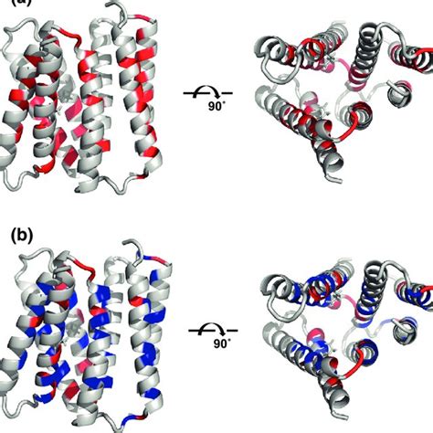 S64v And Wt Emre Drug Binding Affinity By Itc A Download Scientific
