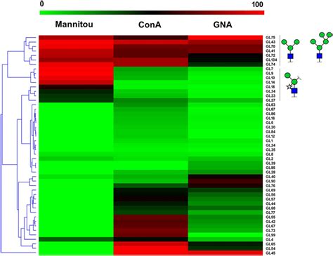 Dual Color Heat Map Representation Of The Normalized Glycan Microarray