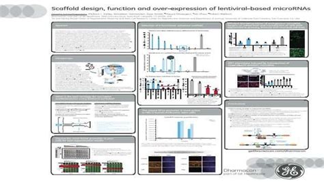 Scaffold Design Function And Over Expression Of Lentiviral Based Micrornas Technology Networks