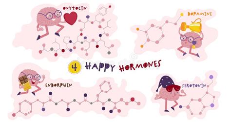 Four Happy Hormones Dopamine Endorphin Serotonin Oxytocin Stock