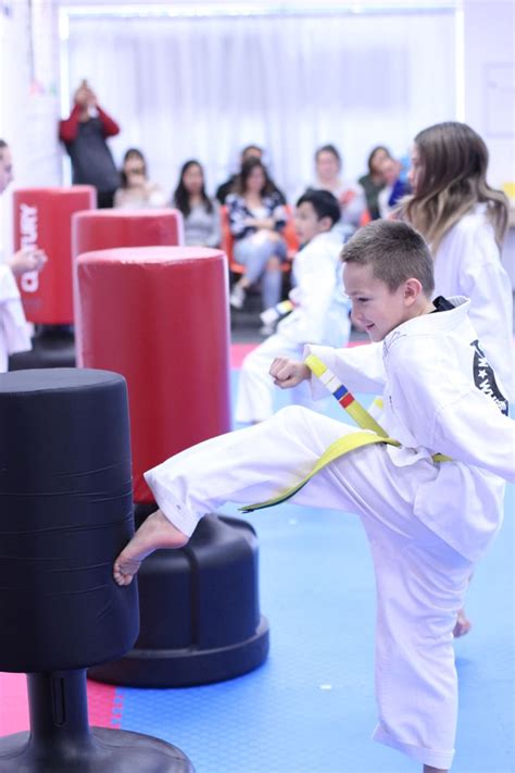 White Tiger Taekwondo Academy 11 Photos Taekwondo 15410 S