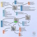 Microscopy Image Browser A Handy Tool For Image Management