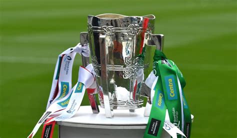 Limerick Return Liam Maccarthy Cup To Kilkenny For Some Tlc Limerick Live