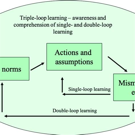 The Learning Organization Single Double And Triple Loop Learning
