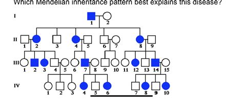 Solved Which Mendelian Inheritance Pattern Best Explains