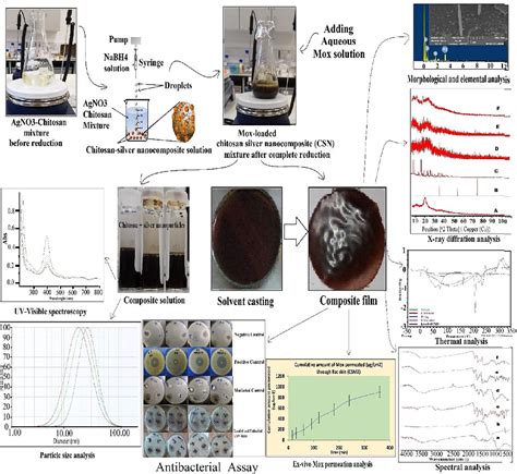 Table 1 From Chemical Synthesis Of Chitosan Silver Nanocomposites Films Loaded With Moxifloxacin