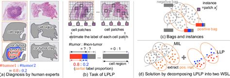 Figure 1 From Learning From Partial Label Proportions For Whole Slide