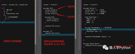 APP爬虫之 Protobuf协议逆向解析