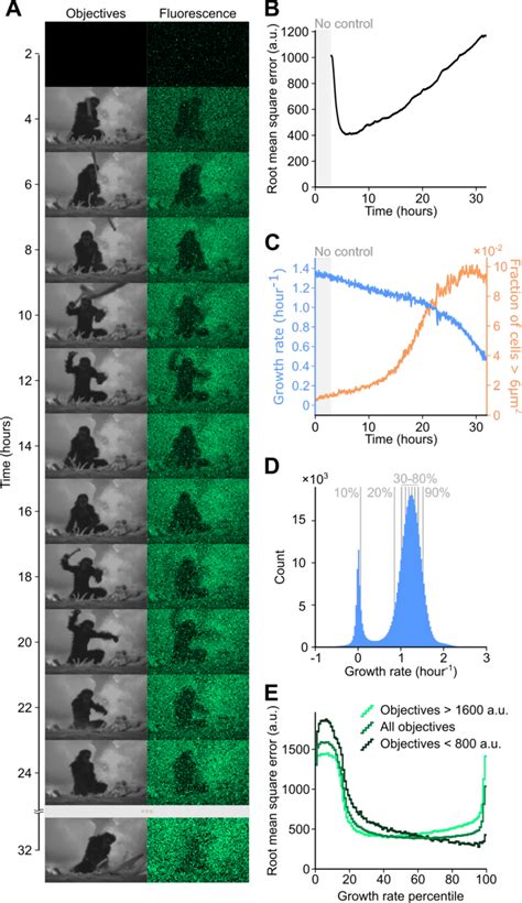 Control Performance Against Arbitrary Complex Objectives Is Limited By