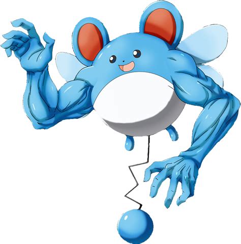 Download Megamarill Confirmed Pokemon Retarded Png Image With No Background