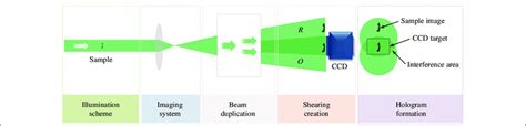 Concept Of Common Path Configuration Based On Lateral Shearing Download Scientific Diagram