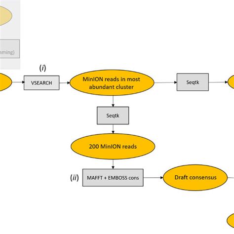 Ontrack Pipeline Flowchart I Minion Reads Were Clustered At 70 Download Scientific Diagram