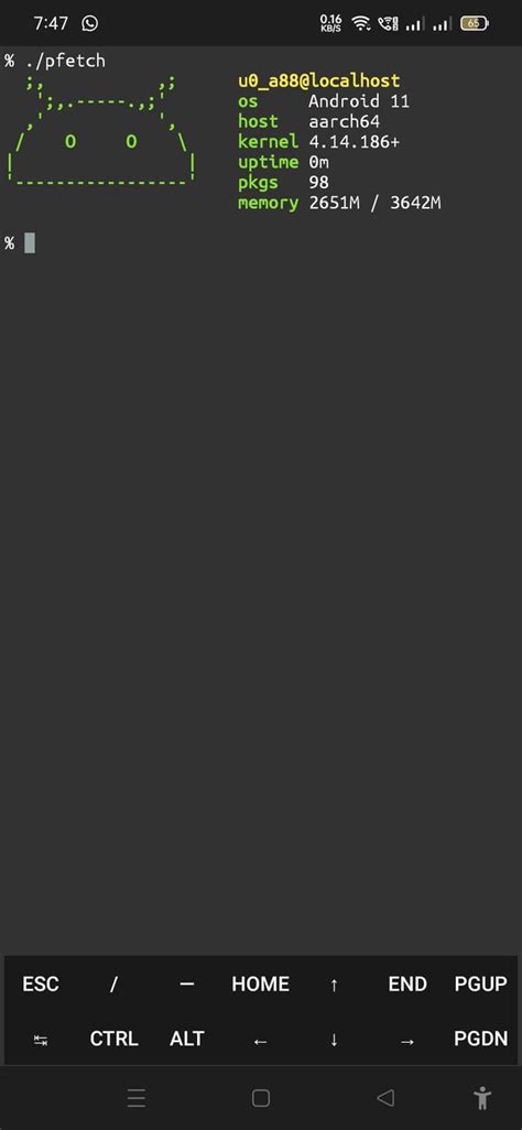 My Termux Setup R Termux