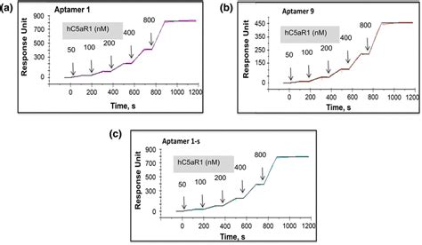 Single Cycle Binding Kinetics Were Measured For Aptamers In The